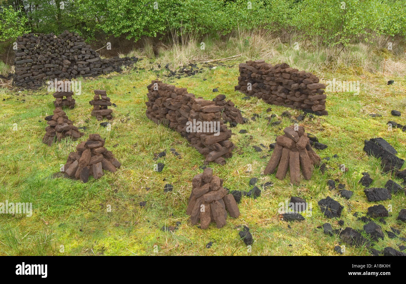 Northern Ireland Ulster County Tyrone Ulster American Folk Park turf ...