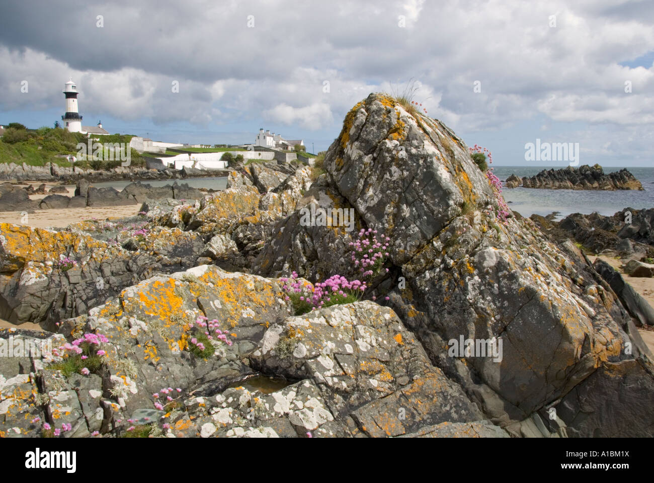 Ireland County Donegal Inishowen Peninsula Dunagree Point Lighthouse ...