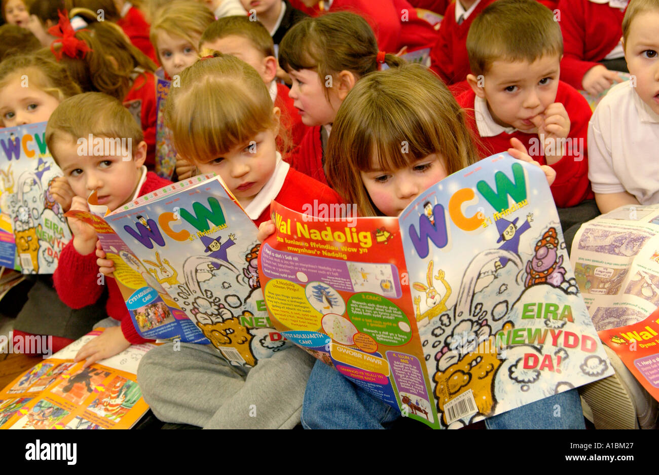 Pupils reading a Welsh language magazine in class at a Welsh speaking ...