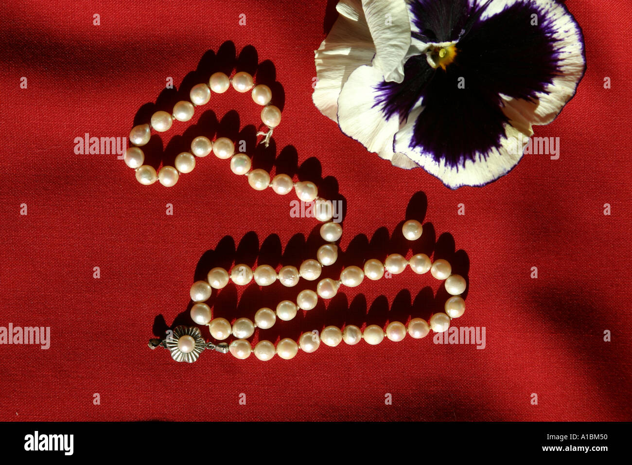a broken string of pearls on a red surface Stock Photo - Alamy
