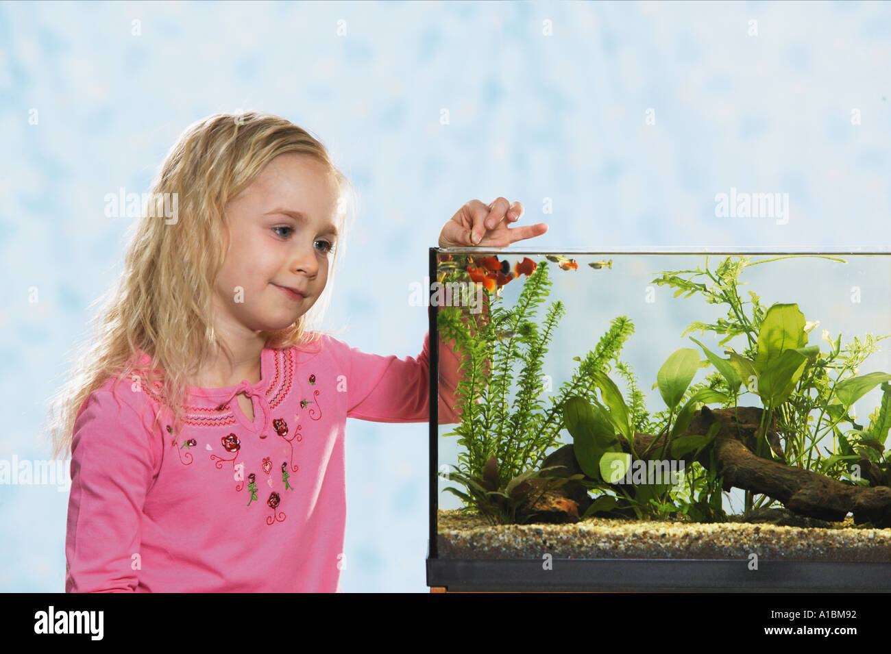 Girl feeding fish aquarium hi-res stock photography and images - Alamy