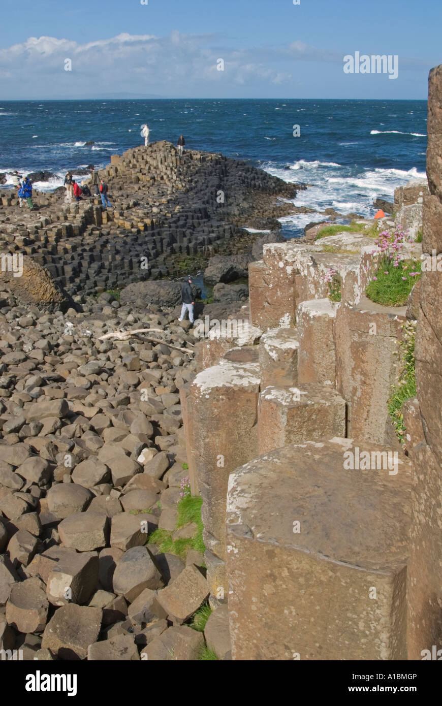 Northern Ireland Giant s Causeway Stock Photo - Alamy