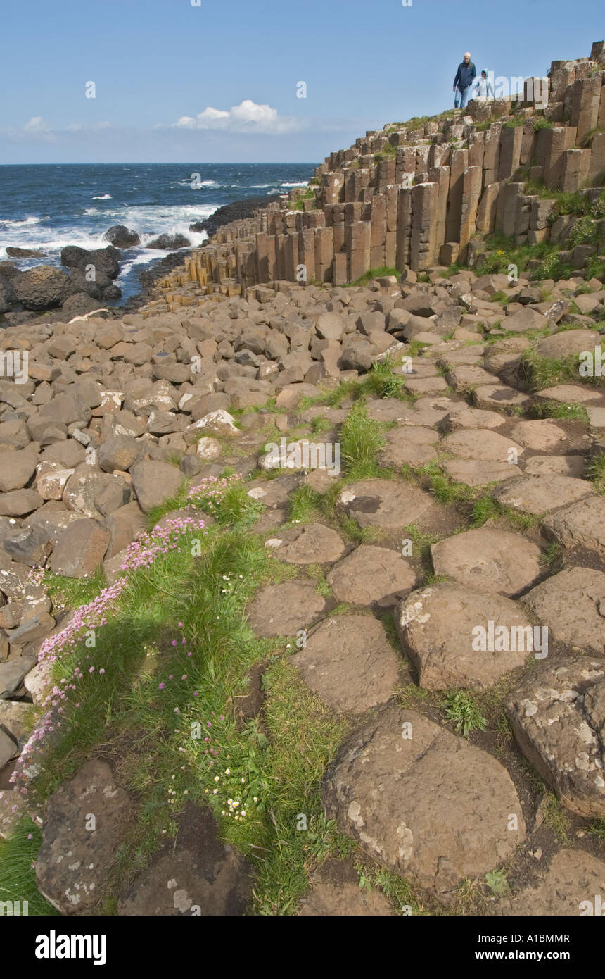 Northern Ireland Giant s Causeway Stock Photo - Alamy