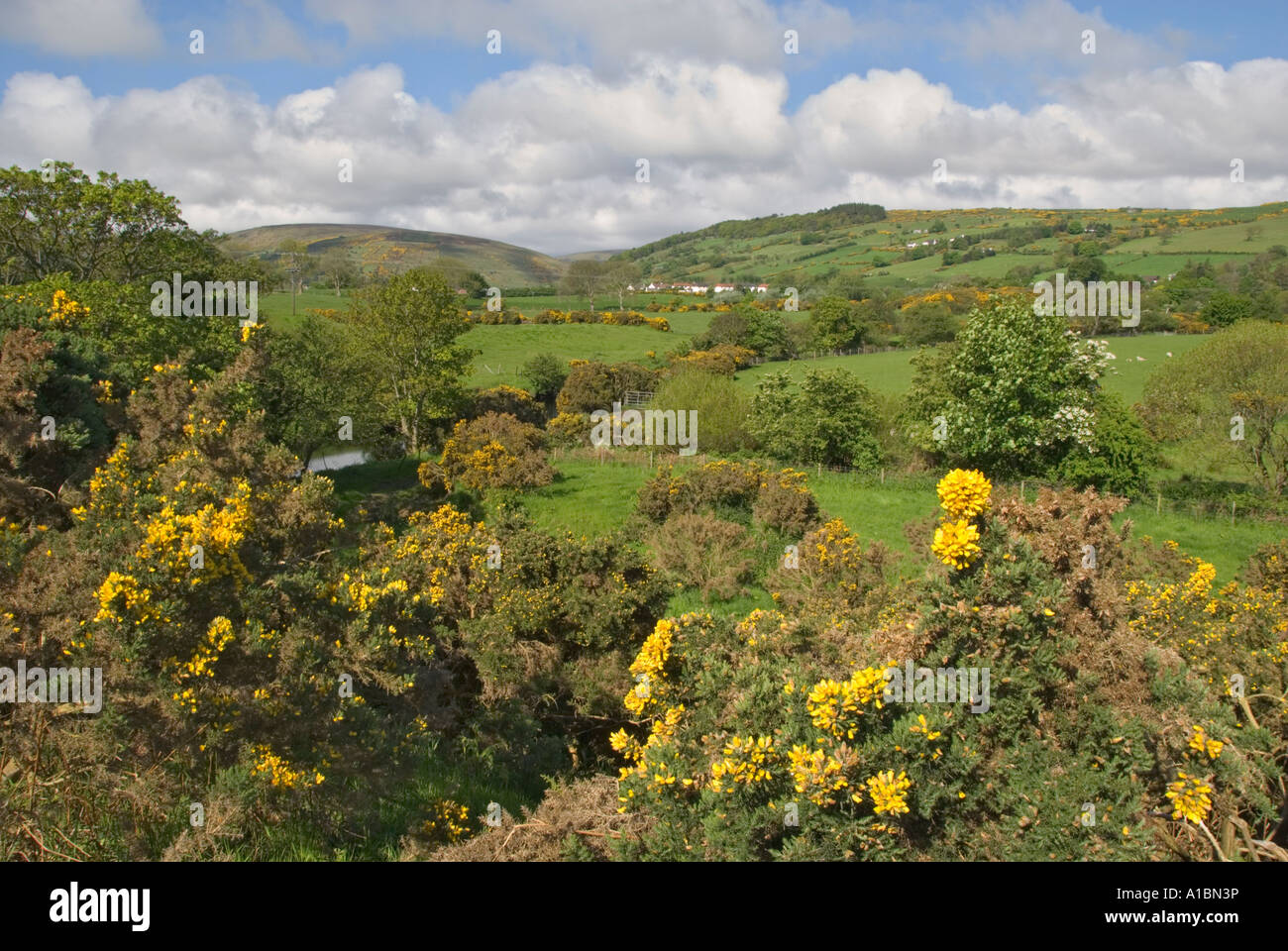 Northern Ireland Antrim Coast and Glens Cushendun countryside view ...