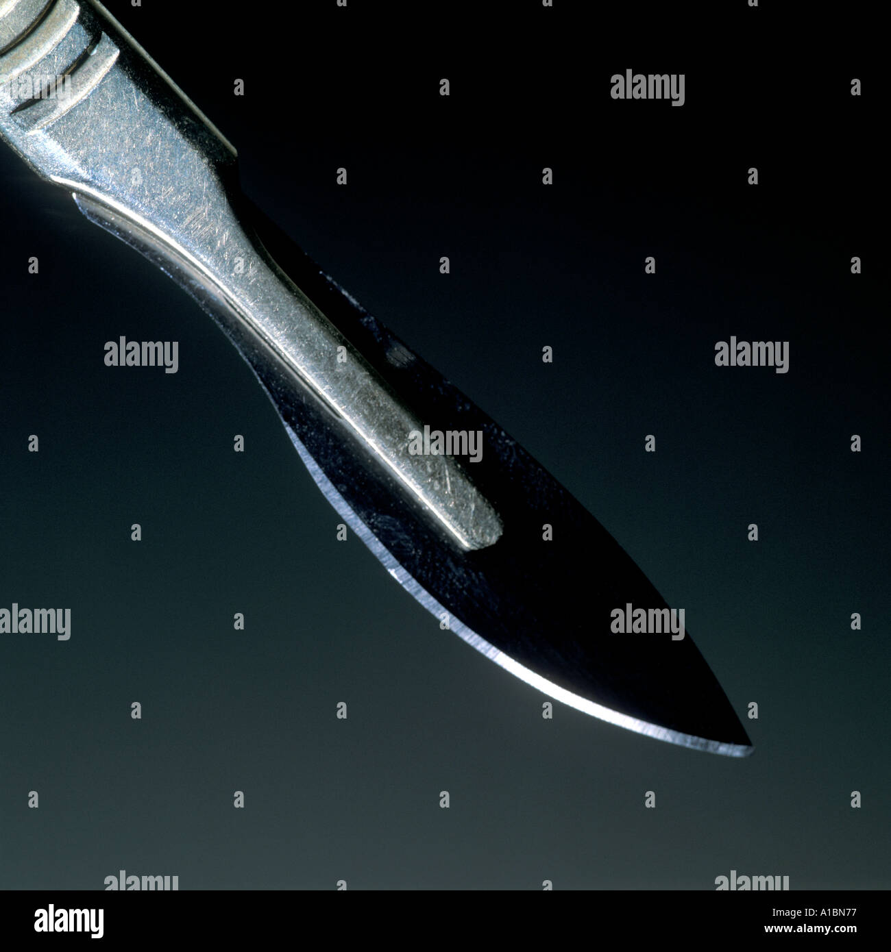 Scalpel point hi-res stock photography and images - Alamy