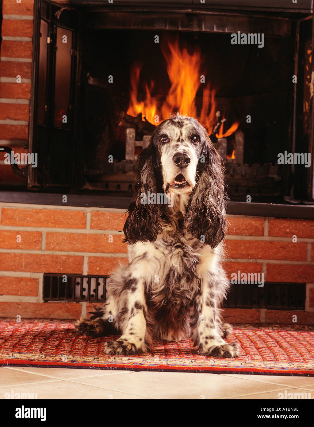 Sitting by the fireside hi-res stock photography and images - Alamy