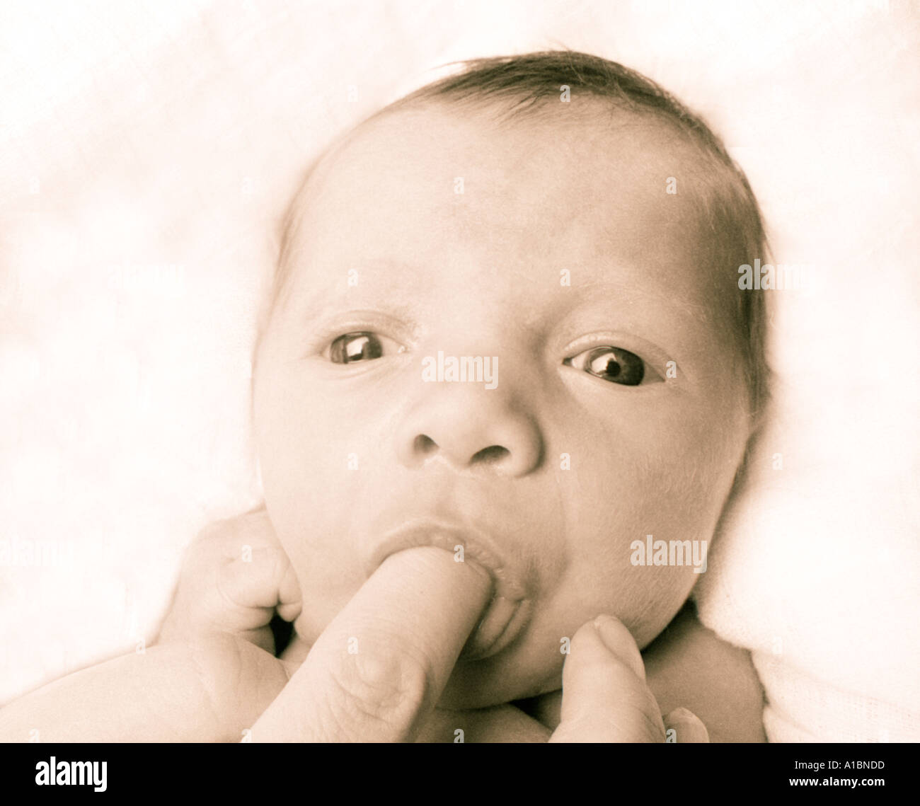 baby sucking finger Stock Photo - Alamy
