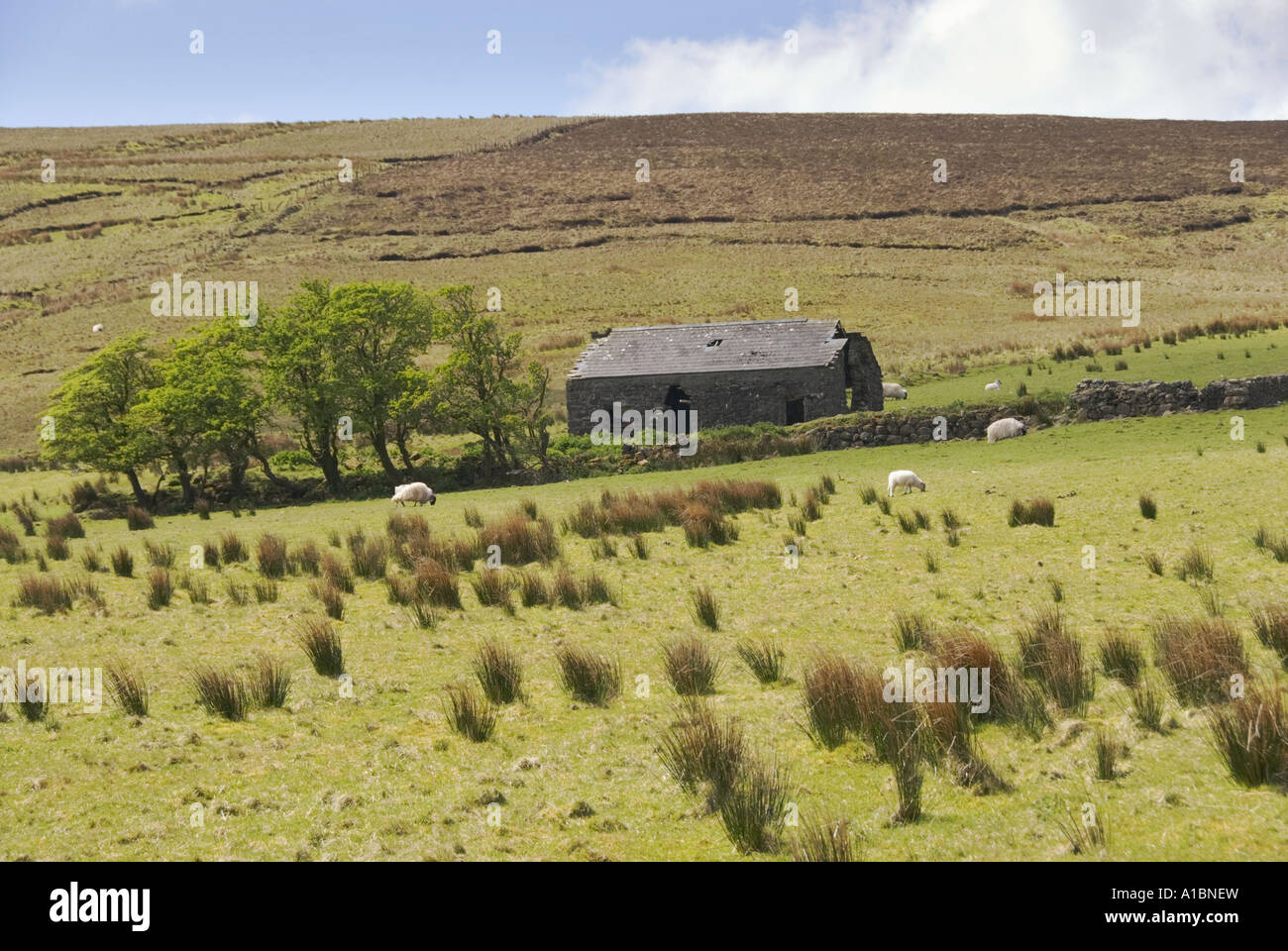 Northern Ireland Antrim Coast and Glens Glendun Stock Photo - Alamy