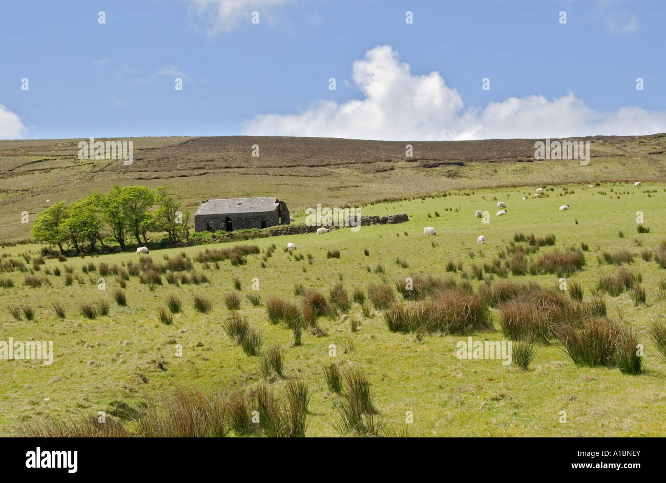 Glendun hi-res stock photography and images - Alamy