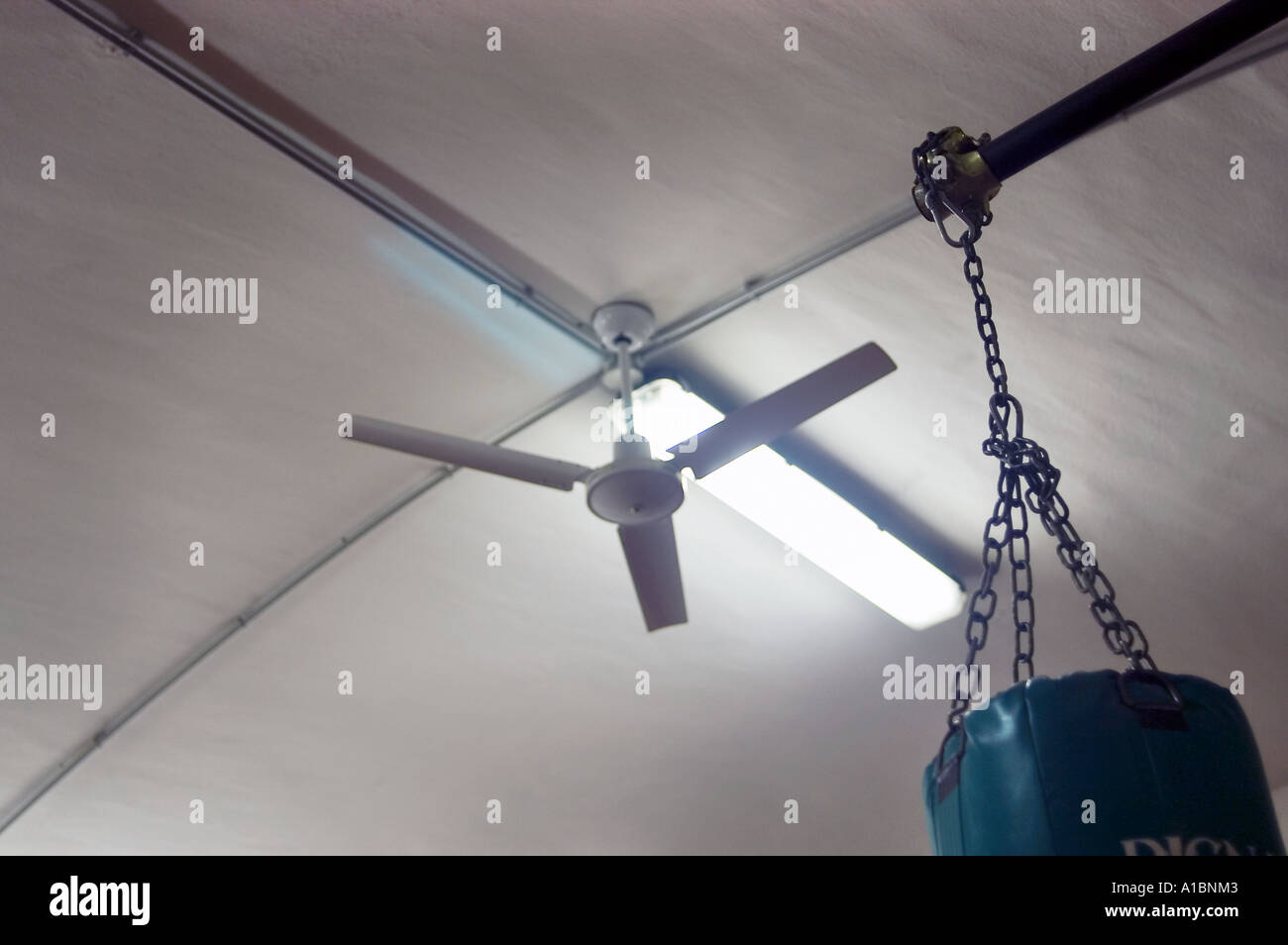 Empty gym low angle hi-res stock photography and images - Alamy