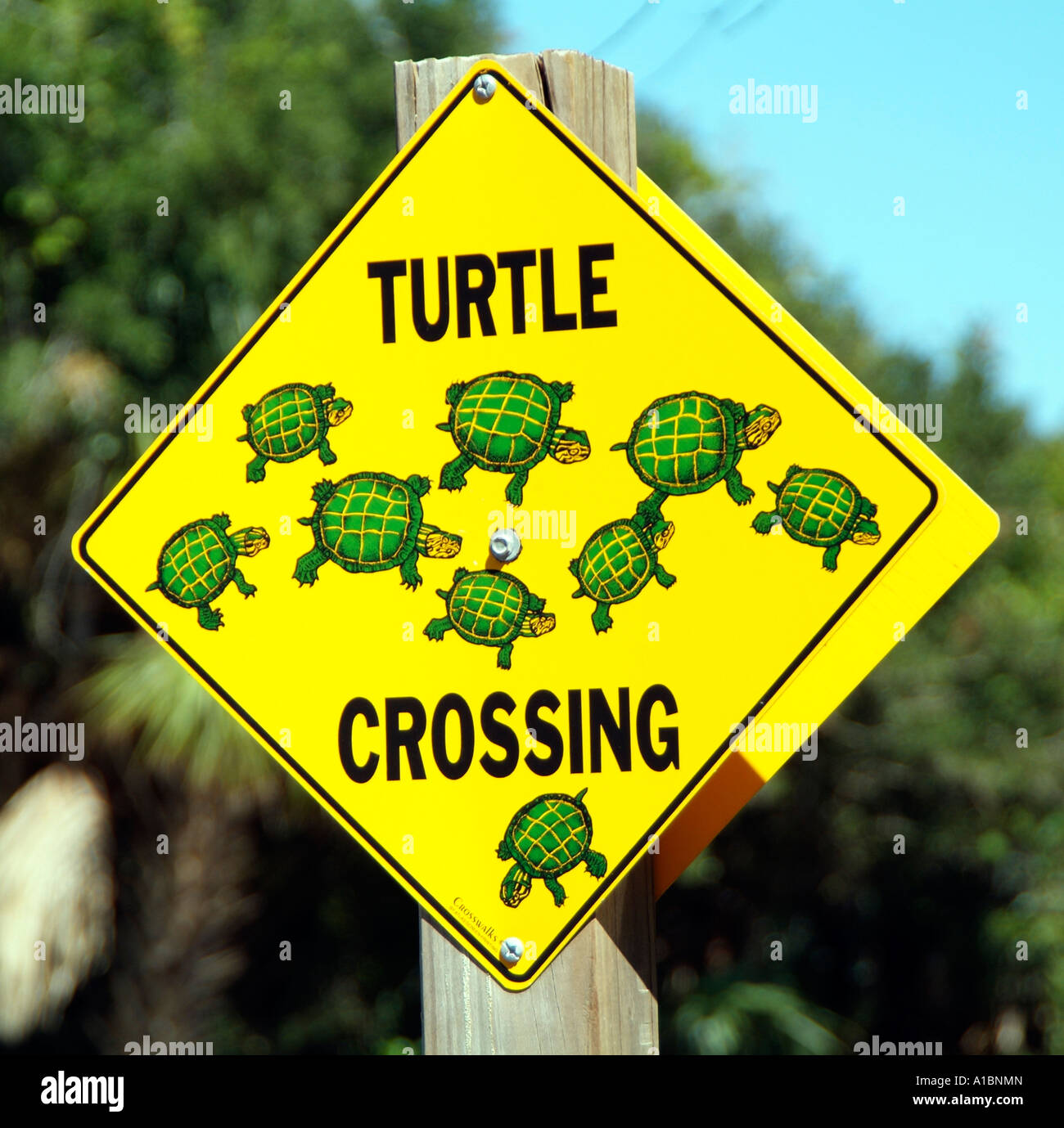 Turtle crossing road sign hi-res stock photography and images - Alamy