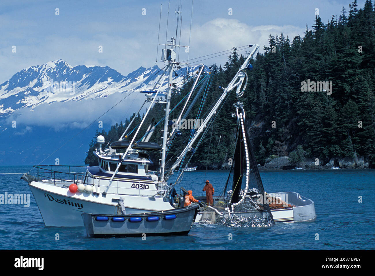 Commercial salmon fishing tender vessel hi-res stock photography and ...