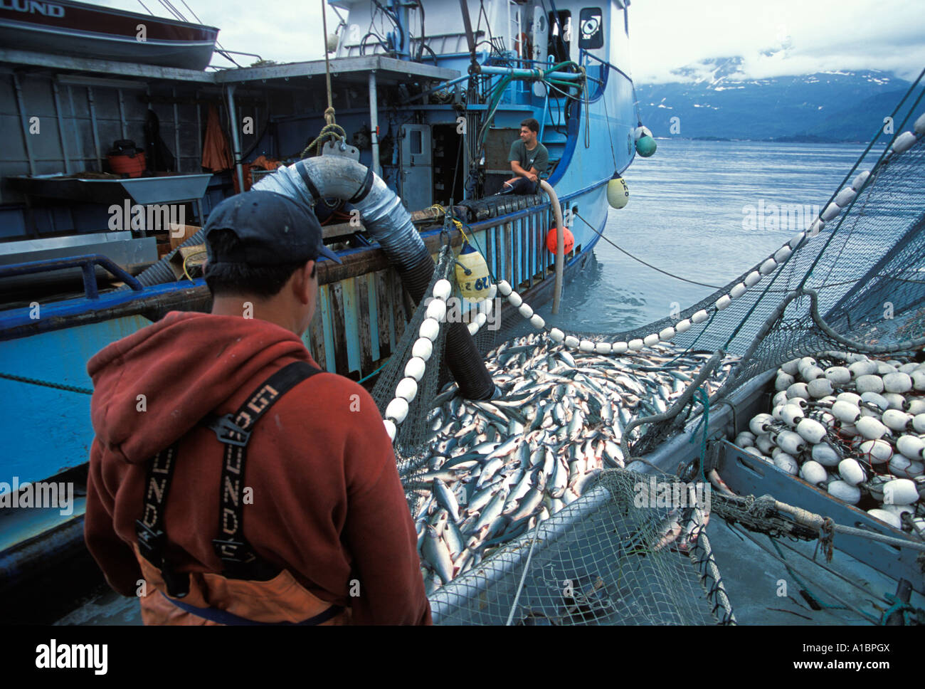 Commercial salmon fishing tender vessel hi-res stock photography and ...