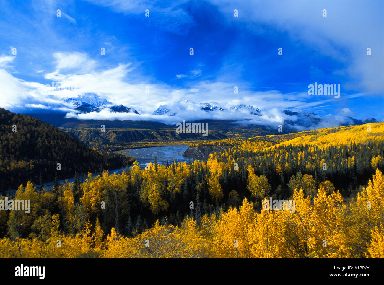 Glennallen hi-res stock photography and images - Alamy