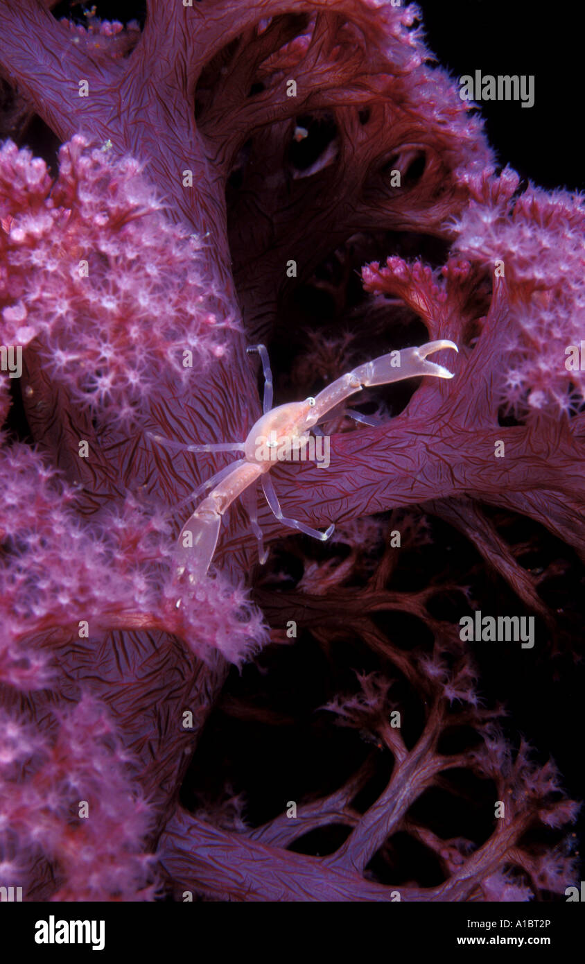 Quadrella hi-res stock photography and images - Alamy