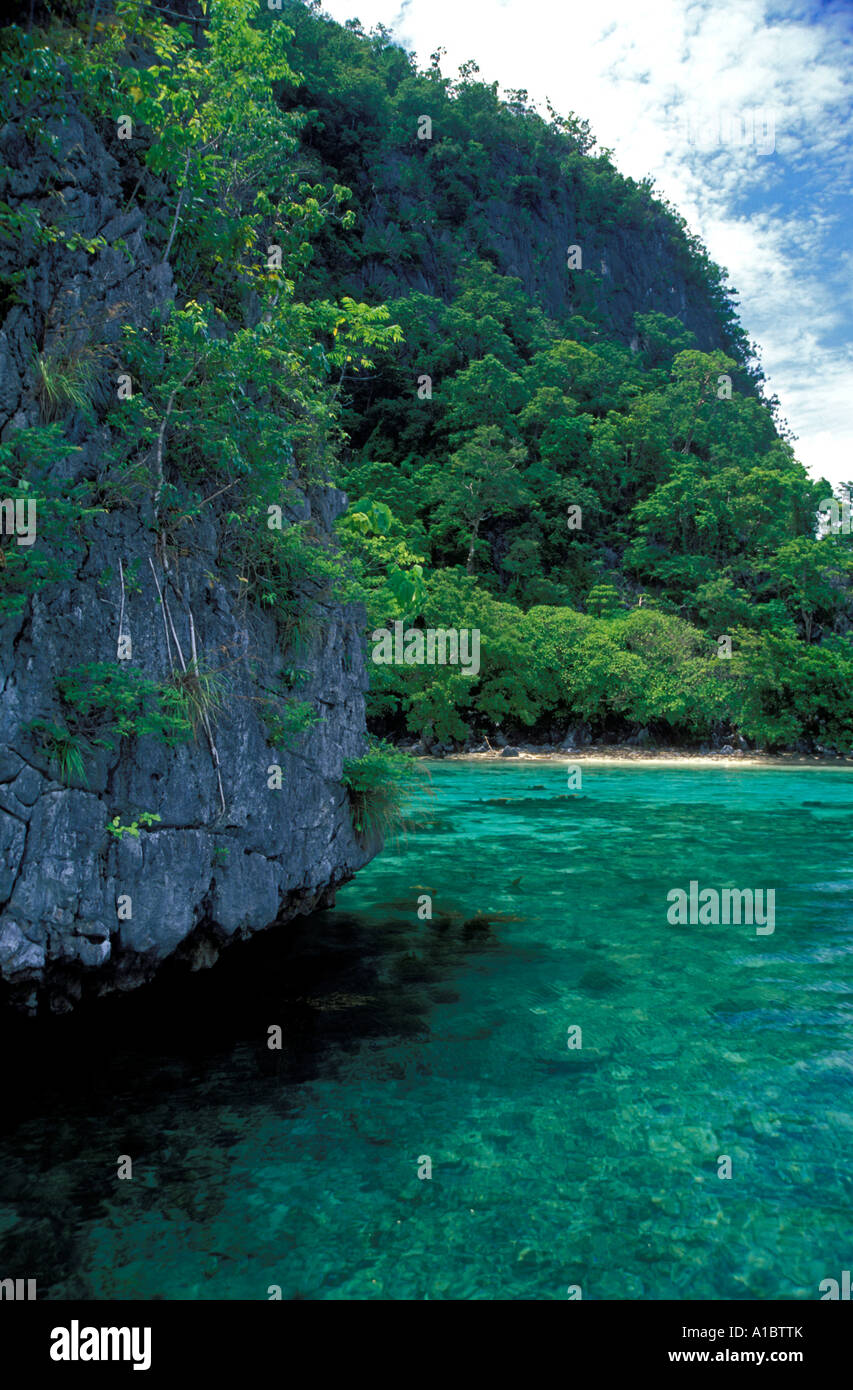 Limestone coast of Coron Island Philippines Stock Photo - Alamy