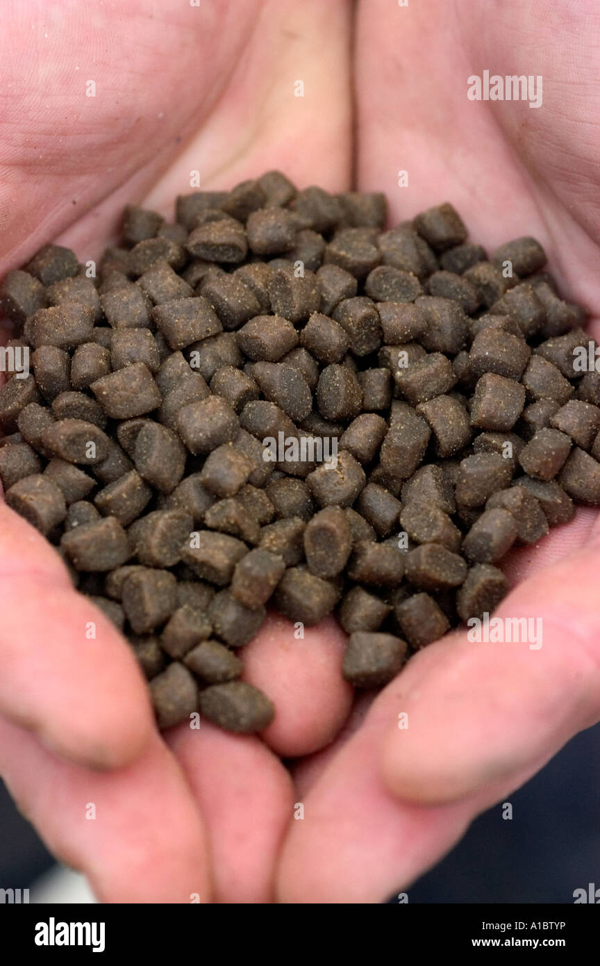 Killary Connemara west of Ireland Celtic Atlantic Salmon Ltd pellets of ...