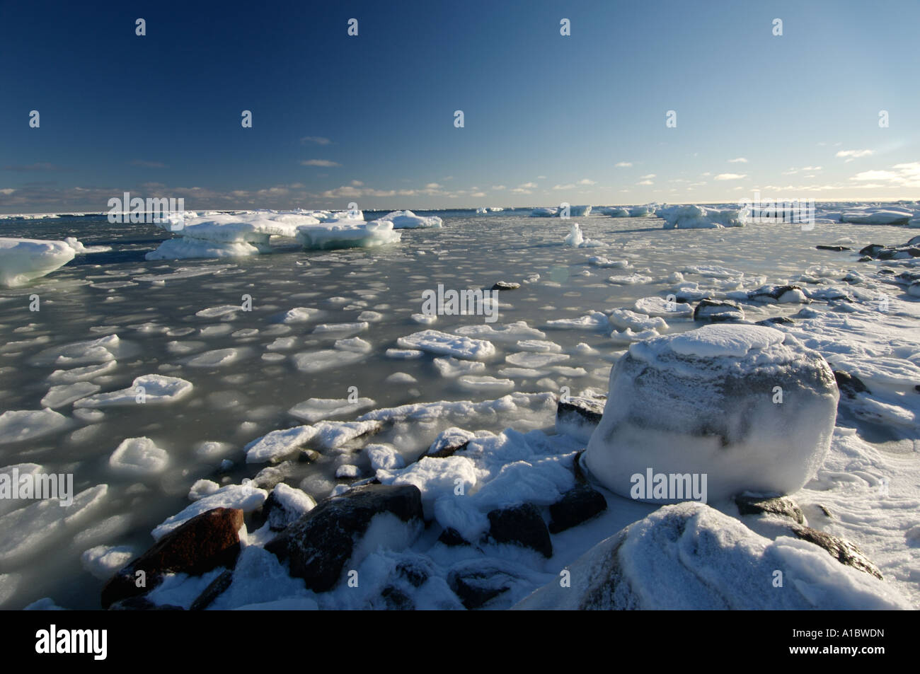 Pack ice in Foster Bay at the beginning of the winter freeze up The ...