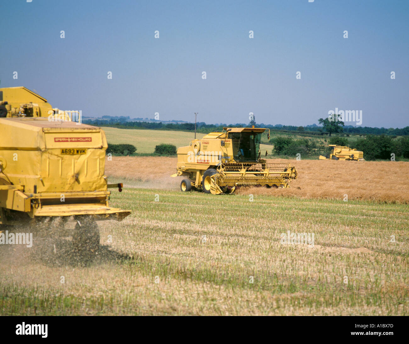 New Holland 8070 harvesters combine harvesting an oil seed rape crop ...