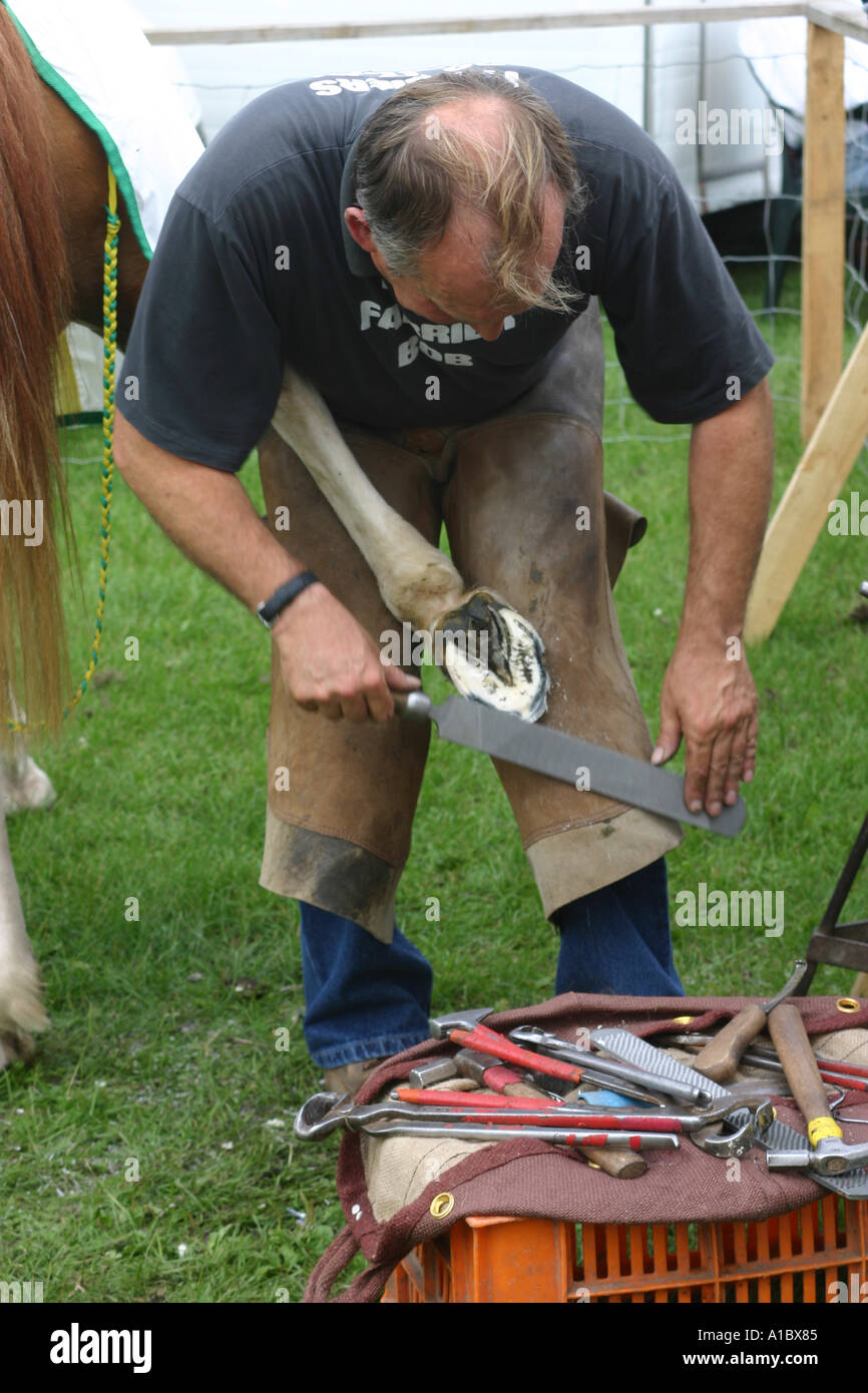 Rasping the Hoof Stock Photo - Alamy