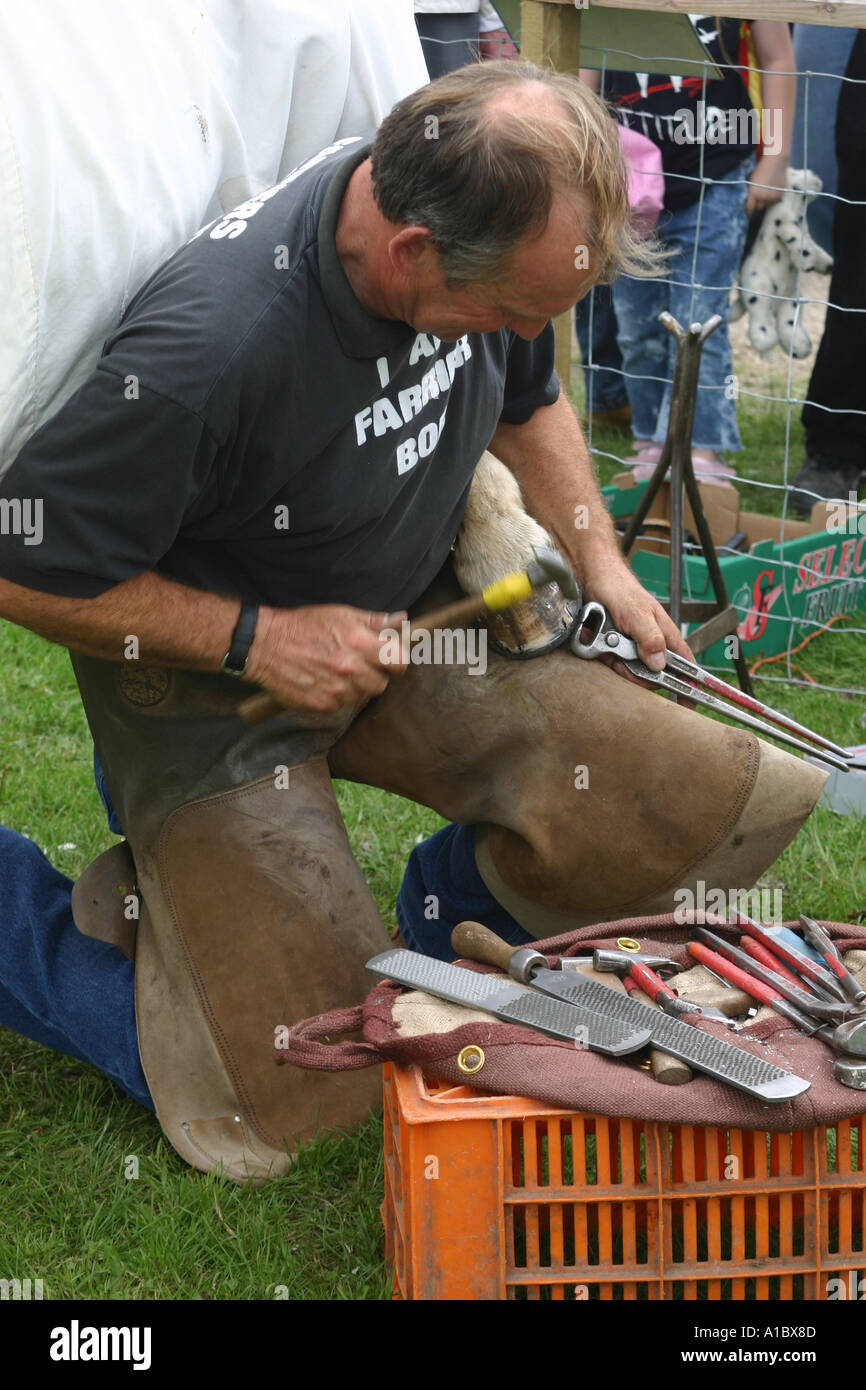 Farrier at work Stock Photo - Alamy