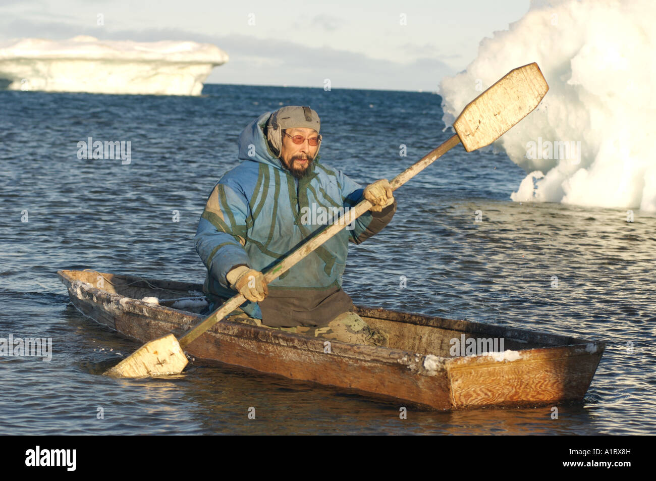 John Arnatsiaq Inuit hunter paddling a kayak amongst pack ice The kayak ...