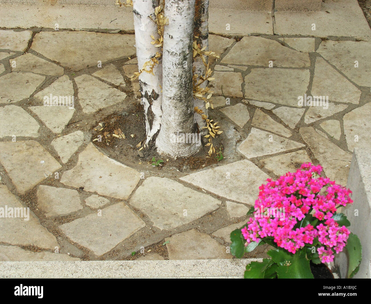 flower arrangement at cemetery Pere Lachaise Paris France Stock Photo ...