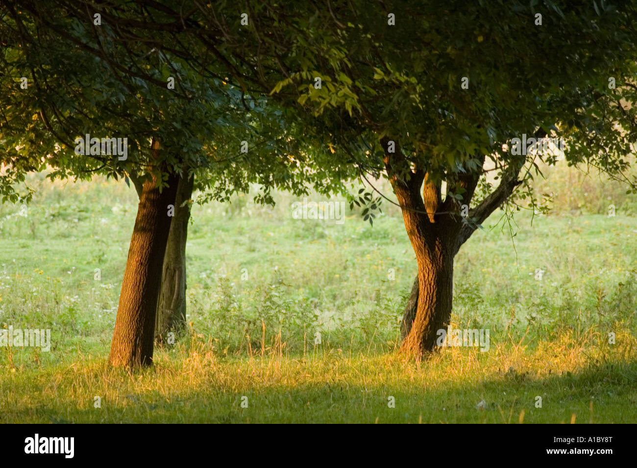 Dayton city park hi-res stock photography and images - Alamy