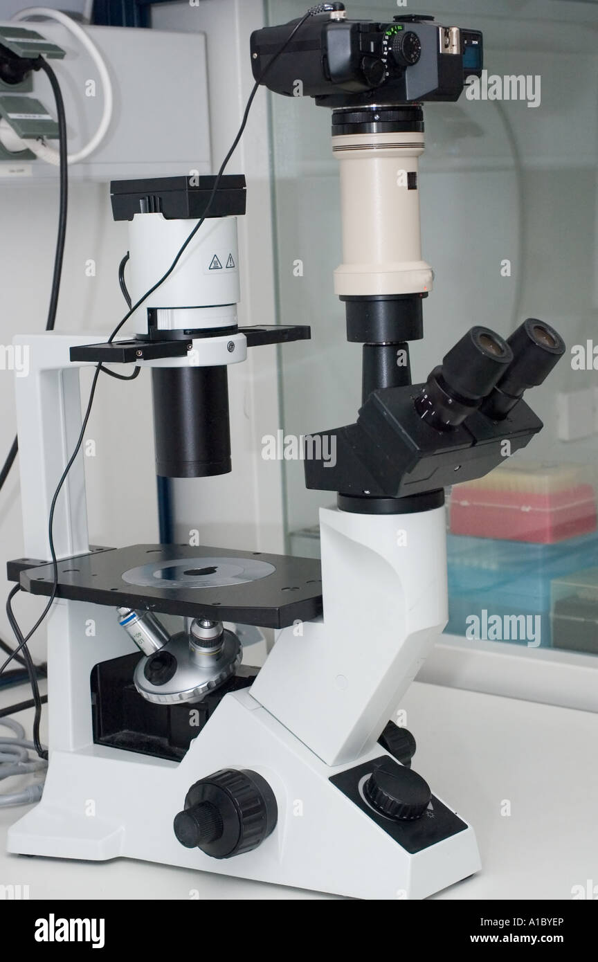 scientific microscope in laboratory Stock Photo - Alamy