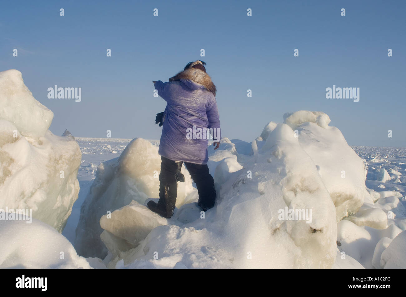 Inupiat woman looks for caribou on the frozen Arctic ocean off Herschel ...