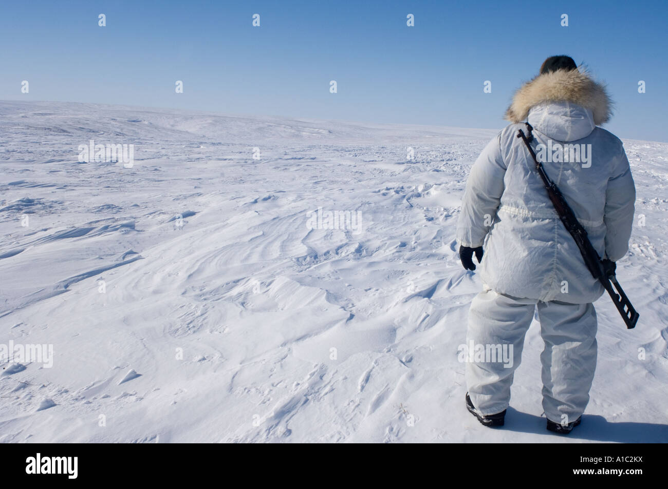 inupiat hunter looks for caribou on the frozen Arctic ocean off ...