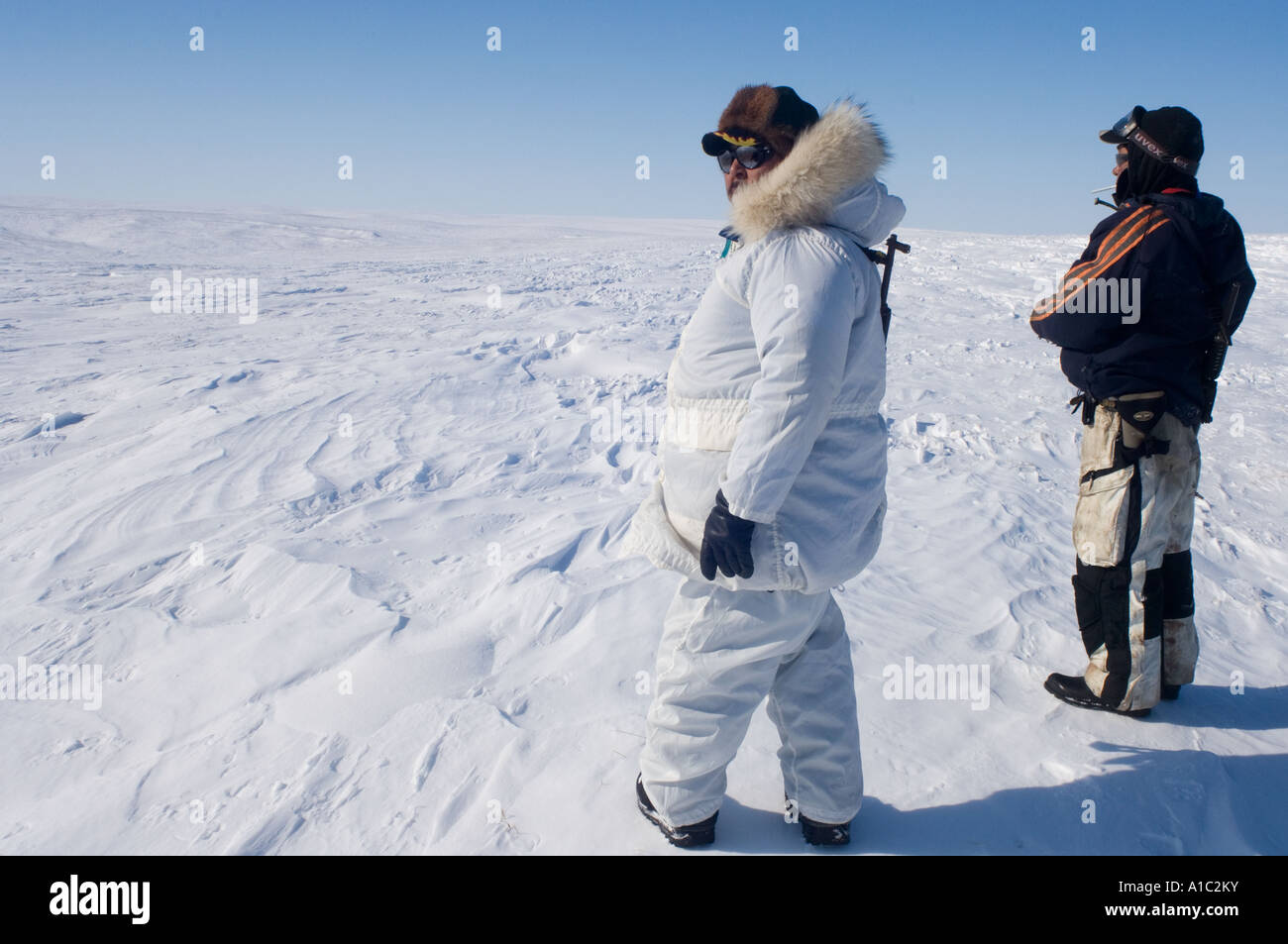 Herschel caribou hi-res stock photography and images - Alamy