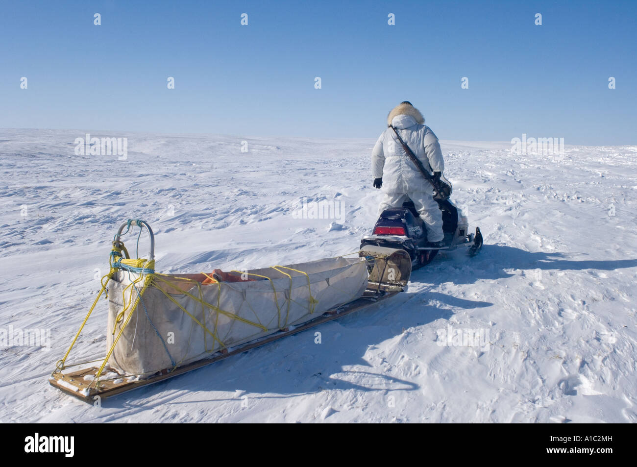 inupiat hunter looking for caribou on the frozen Arctic ocean off ...