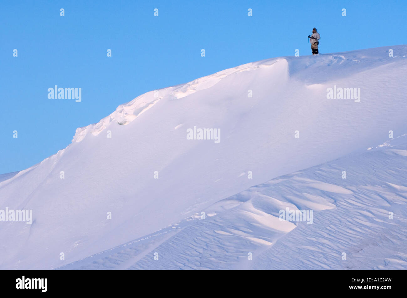 inupiat hunter Jack Kayotuk looks for caribou Herschel Island off the ...