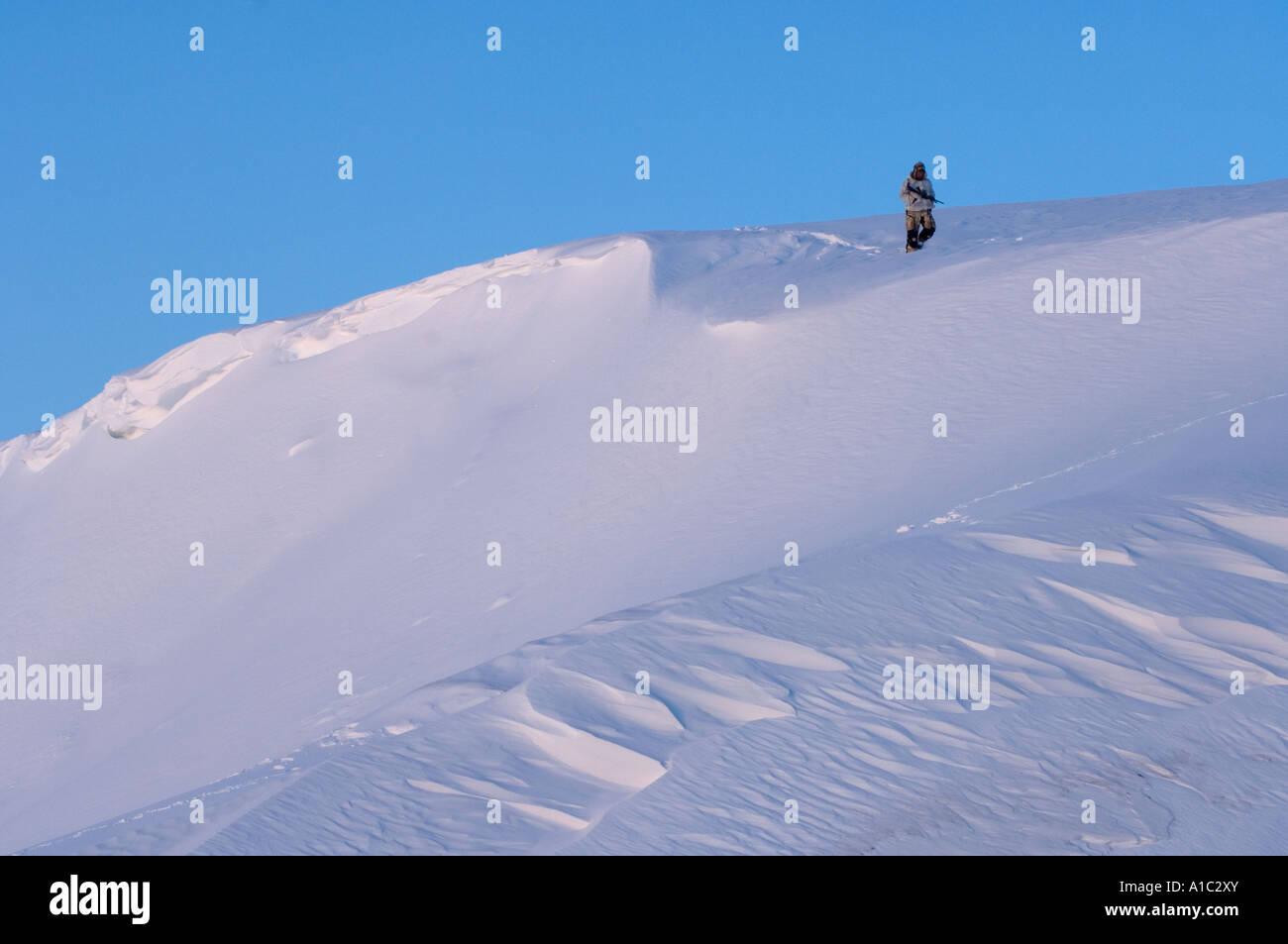 inupiat hunter Jack Kayotuk looks for caribiou Herschel Island off the ...