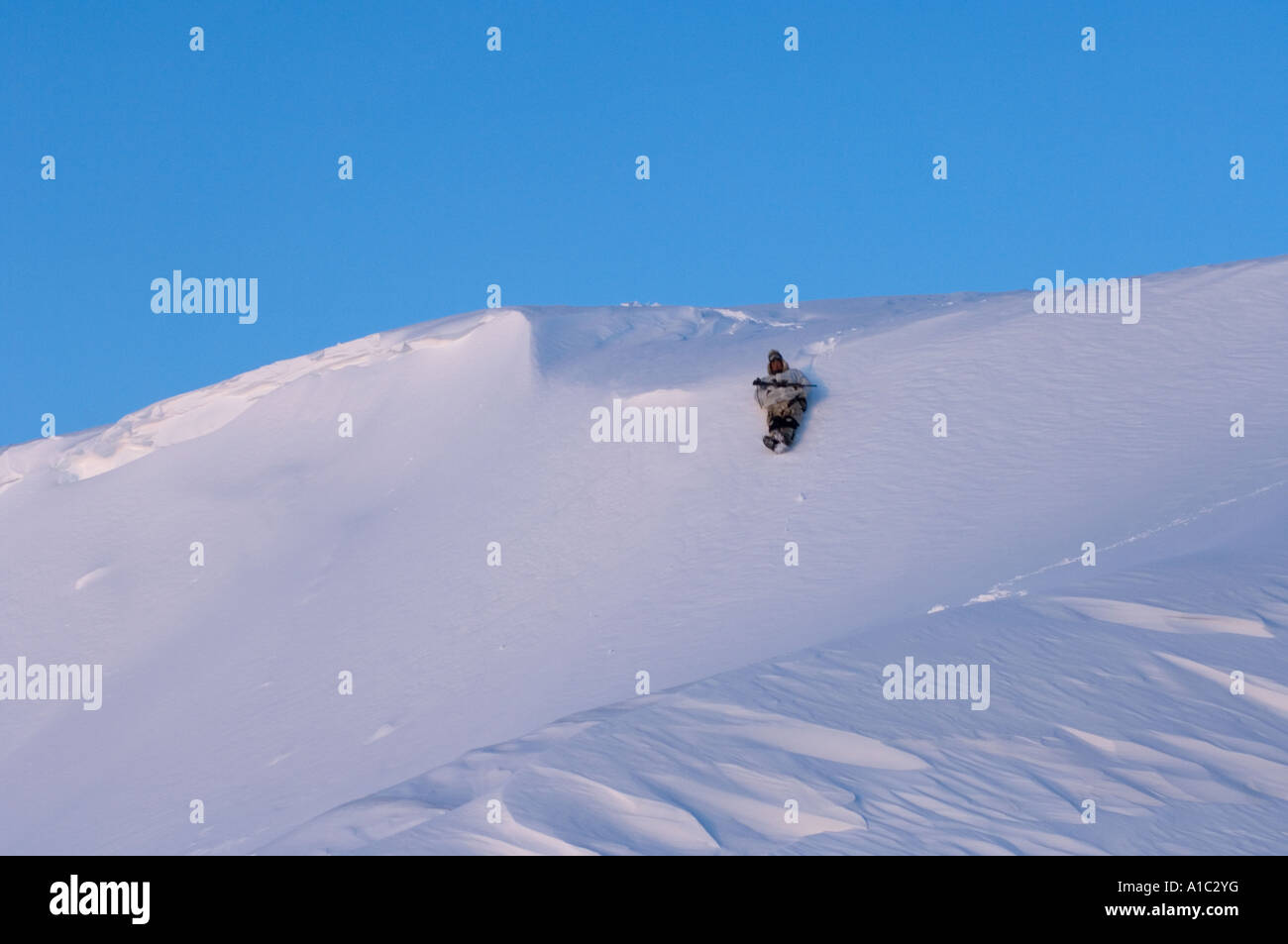 inupiat hunter sleds down a snow bank on his back Herschel Island Yukon ...