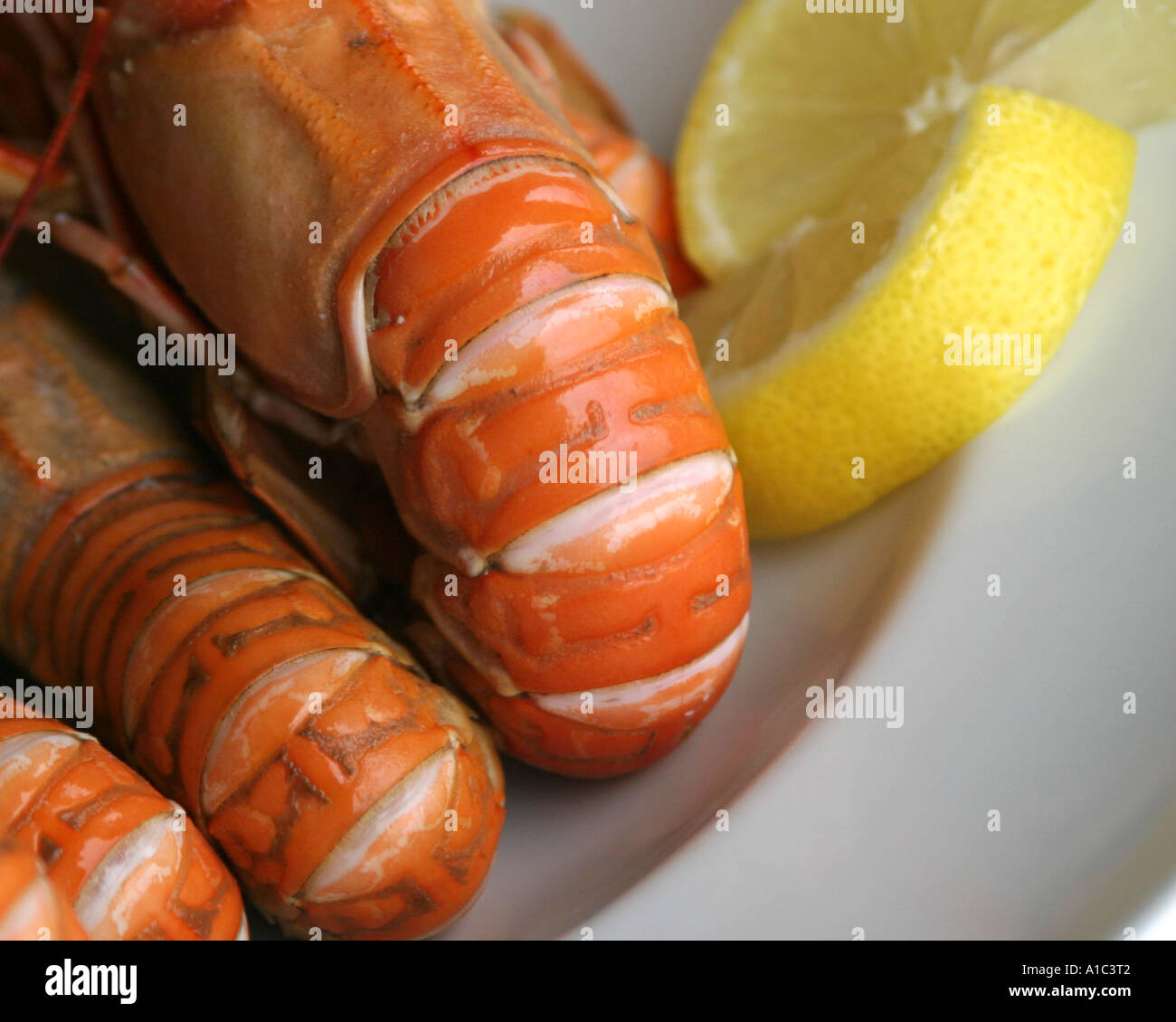 Scottish Prawns Stock Photos & Scottish Prawns Stock Images - Alamy