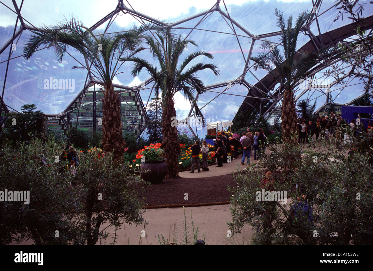 Interior of Eden Project, Cornwall, U.K Stock Photo - Alamy