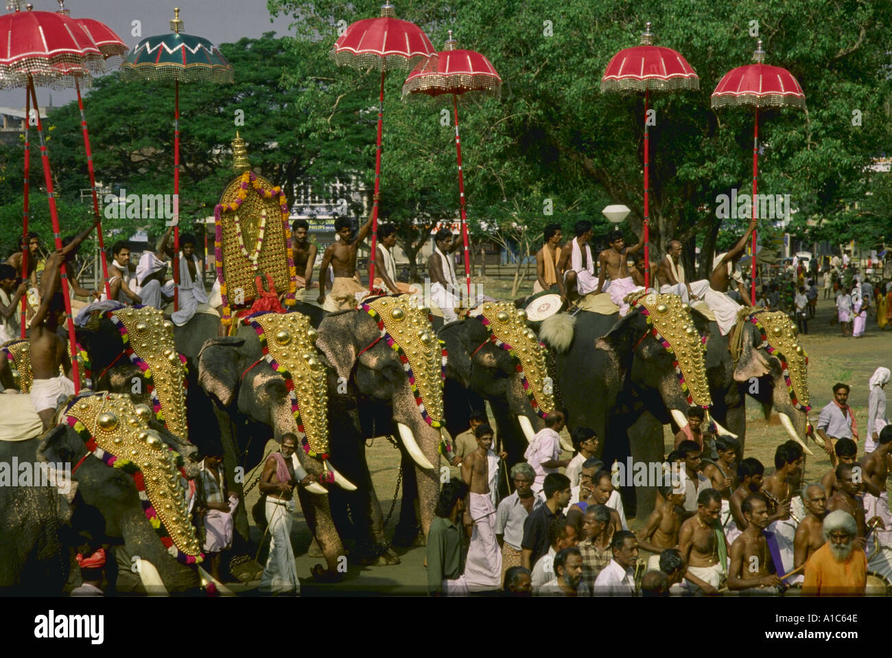Elephant Festival India Stock Photo - Alamy