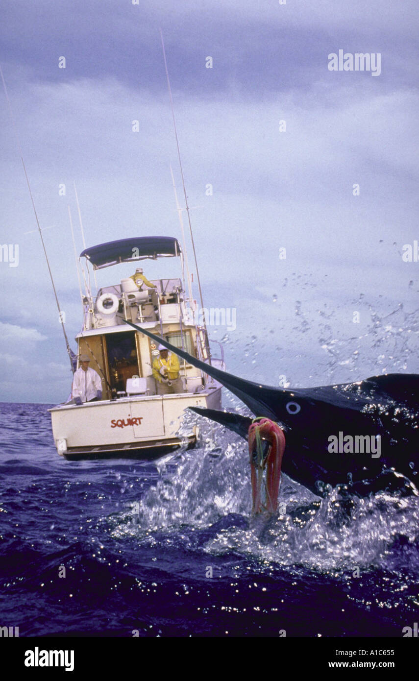 Marlin fishing Caribbean Stock Photo - Alamy