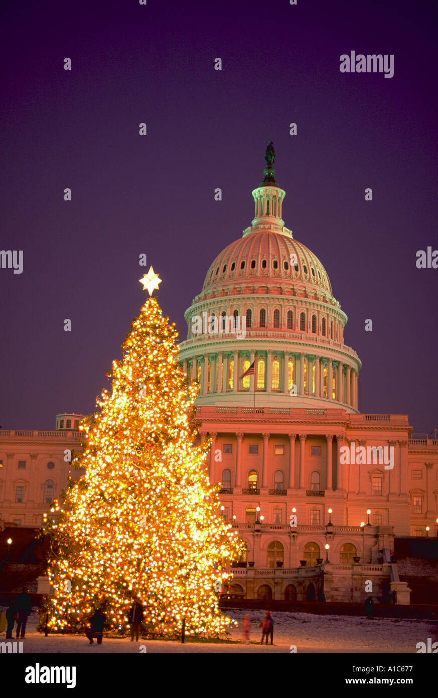 Us capitol building christmas tree hi-res stock photography and images - Alamy
