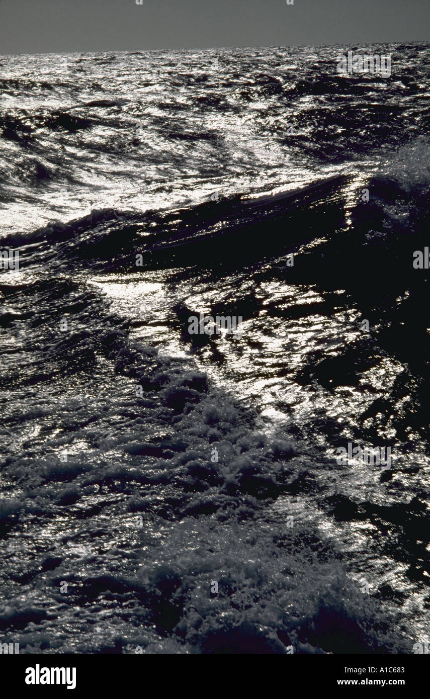 Oceanscape with dramatic light Taken in the middle of the Pacific Ocean ...