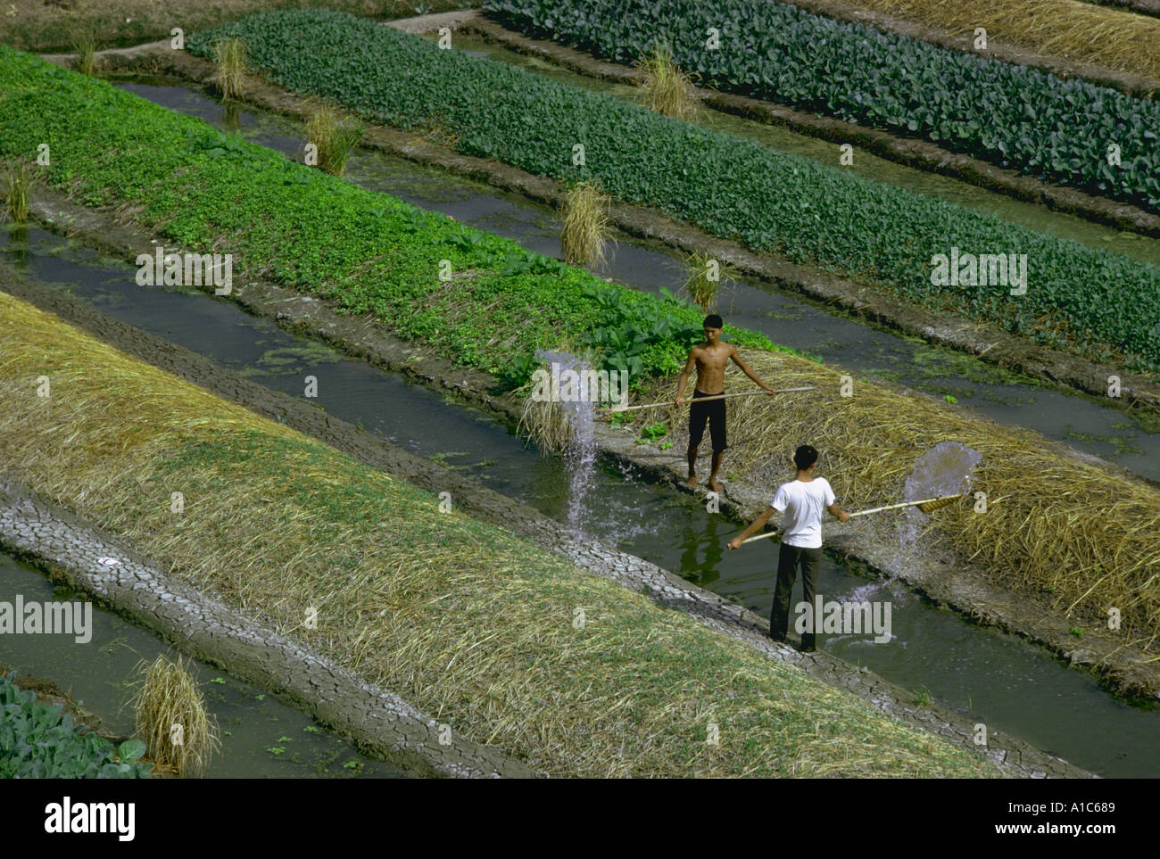 Water lift irrigation hi-res stock photography and images - Alamy