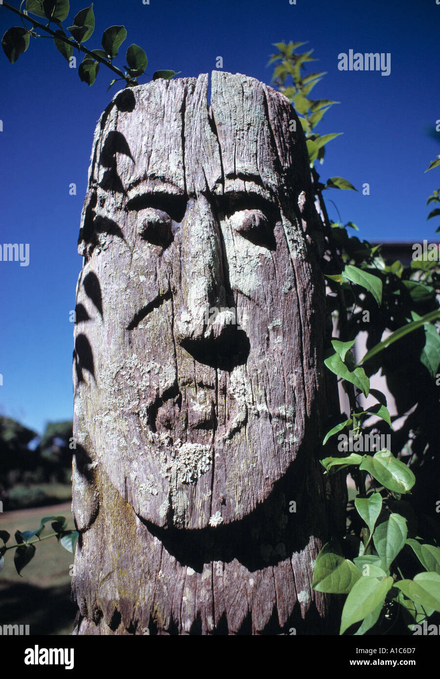 A Polynesian idol or tiki god on the Isle of Pines in New Caledonia ...