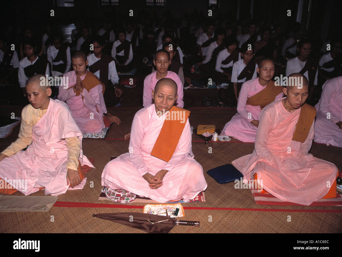 Buddhist Nuns meditating in a monastery in Yangon, Myanmar Stock Photo ...