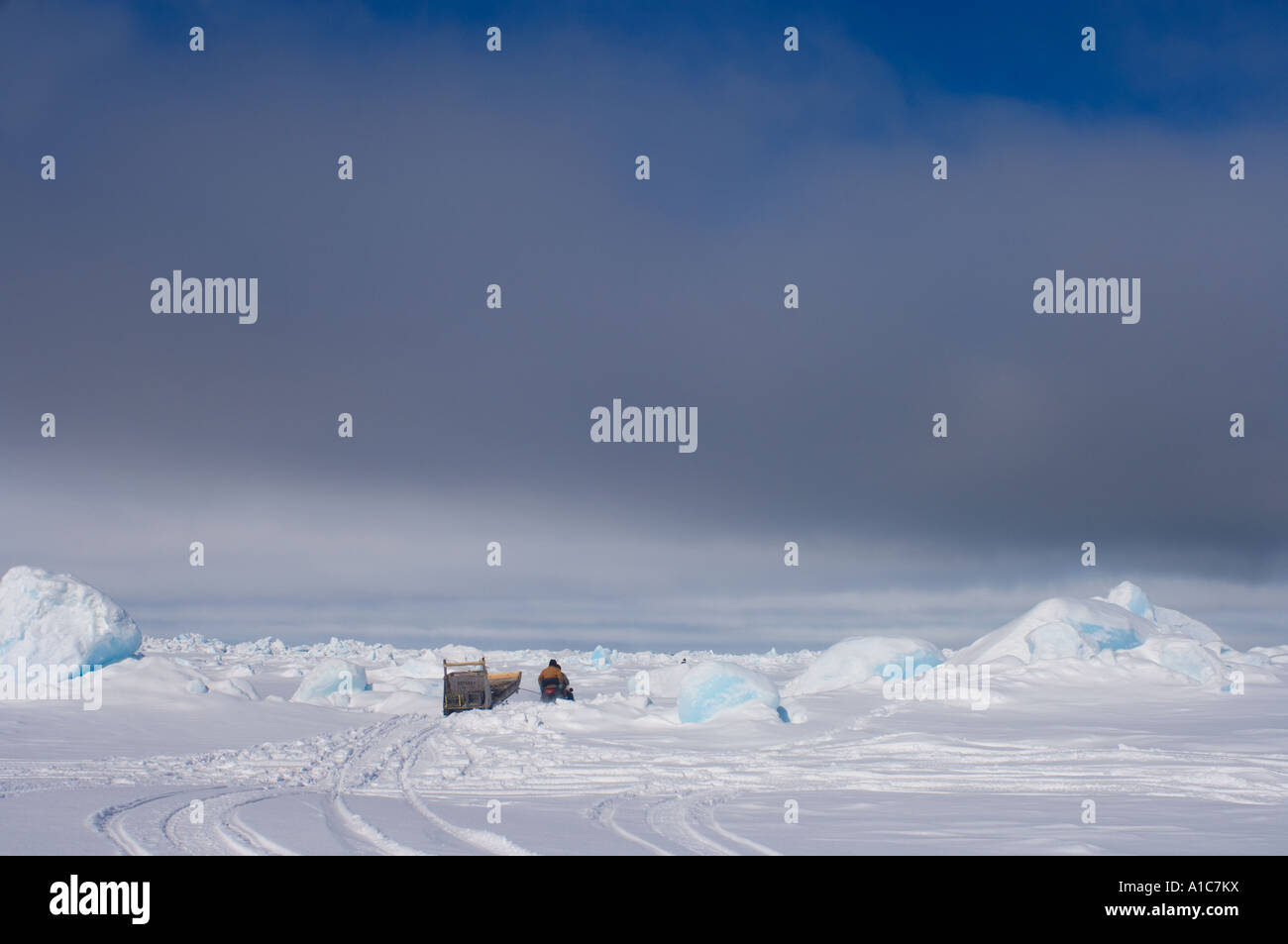 inupiat whaling crew make their way over the frozen Chukchi Sea to open ...