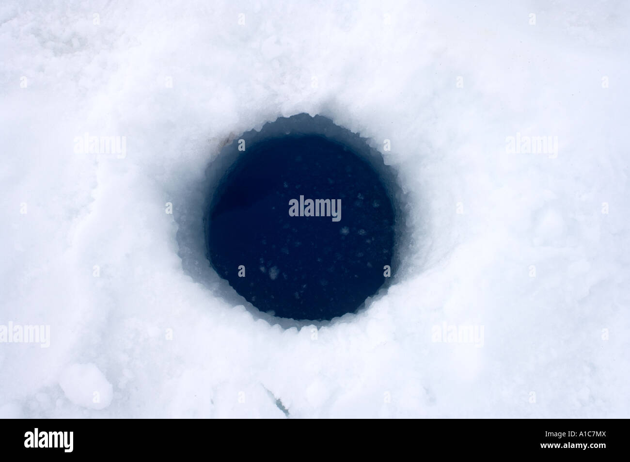 seal hole on the frozen Chukchi Sea off shore from Point Barrow Arctic ...