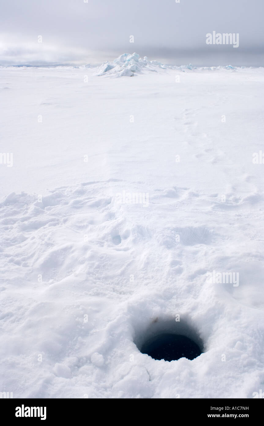 seal hole on the frozen Chukchi Sea off shore from Point Barrow Arctic ...
