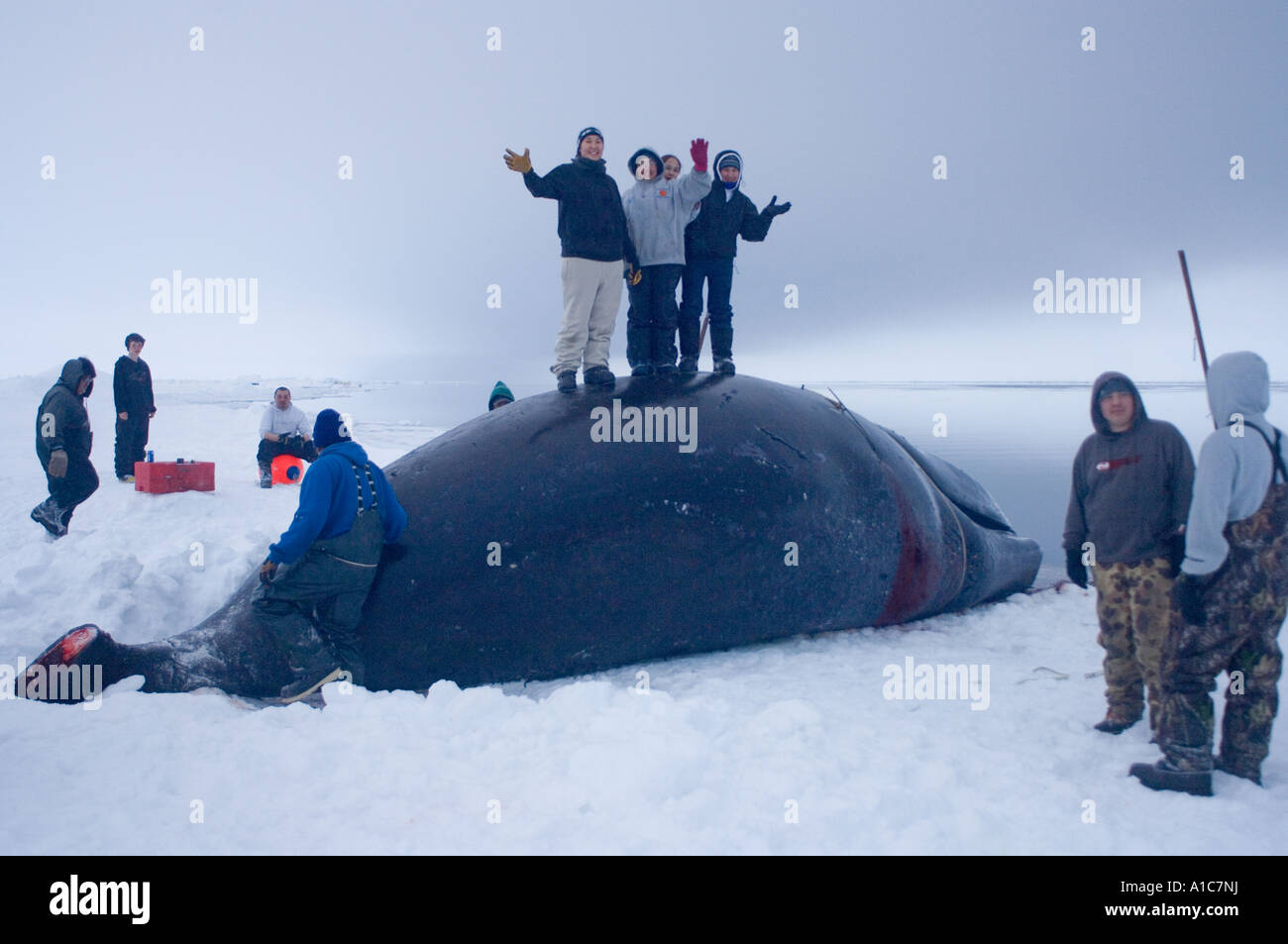 Traditionally alaskan hi-res stock photography and images - Alamy