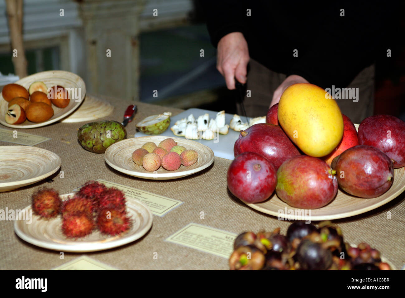Tropical Fruit on display-Fruit Exhibition, Botaniska Trädgård ...